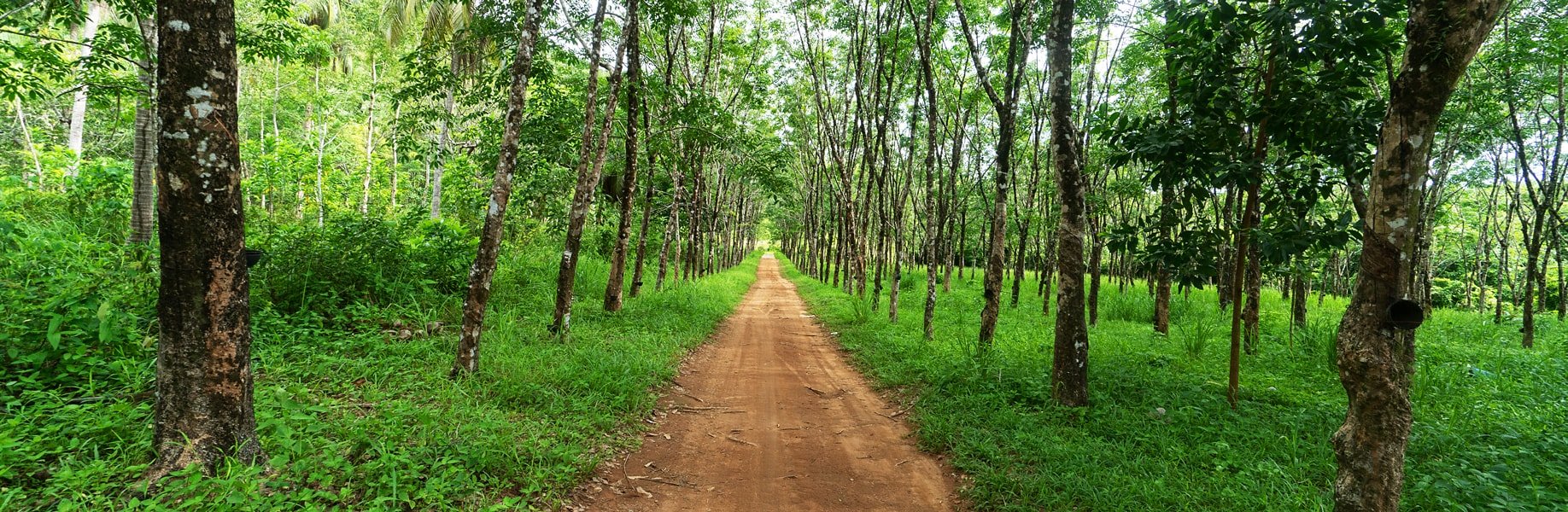 Koh Chang Ranong (Andamanensee) Reisebericht 2019